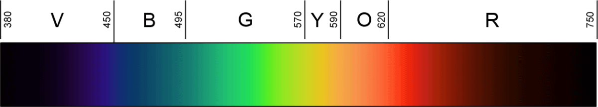 How Do We Know Insects Can’t See Red Light?! – School Of Bugs