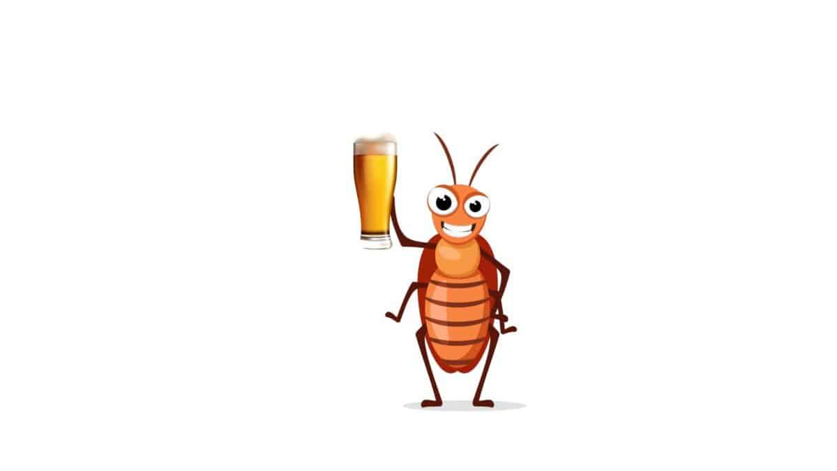 Ten Things You Should Know About Cockroaches – School Of Bugs