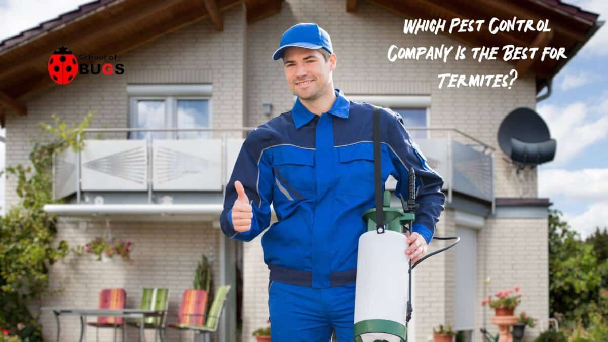 Which Pest Control Company Is the Best for Termites? – School Of Bugs